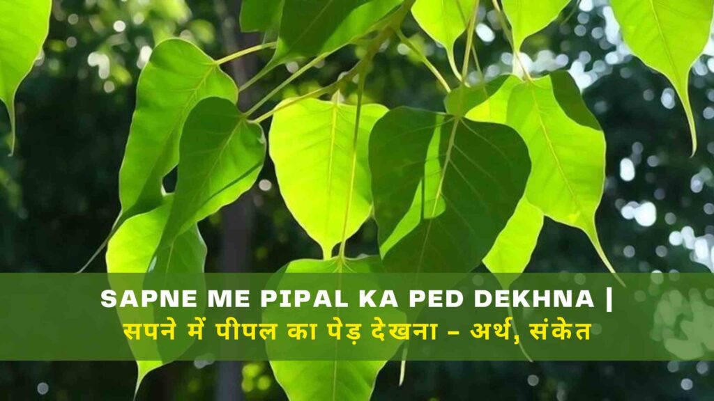 Sapne Me Pipal Ka Ped Dekhna | सपने में पीपल का पेड़ देखना - अर्थ ...